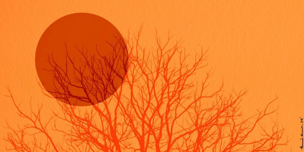 They Call It Stupid Hot for a Reason: Heat Muddles Animal Brains ...
