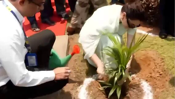 Kangana Ranaut Goes Green On World Environment Day, Plants Sapling In ...