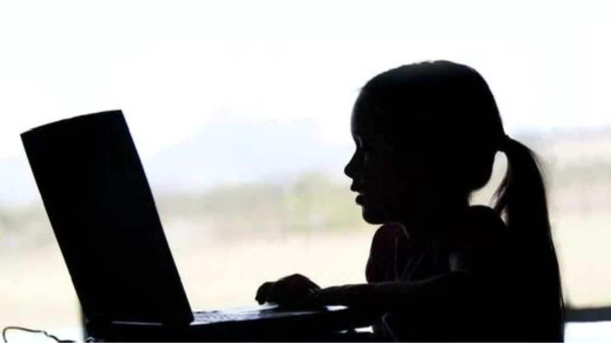 TGCSB's AI platform uncovers child abuse online network, two held ...