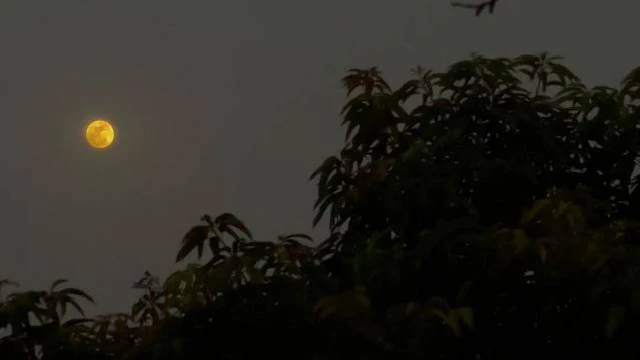 Rare Blue Micromoon lights up skies across the world | Dailyhunt