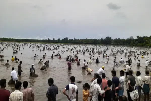 ತಲಗಡ್ಡೆ ಕೆರೆಯಲ್ಲಿ ಮೀನು ಬೇಟೆ | fish hunting | Dailyhunt