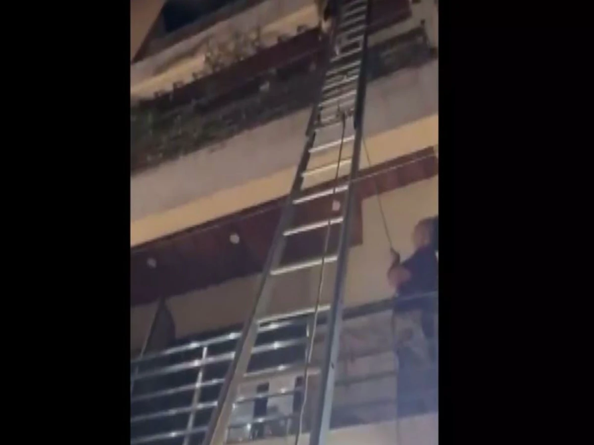 Three dogs die in Ghaziabad apartment fire, residents rescued | Dailyhunt