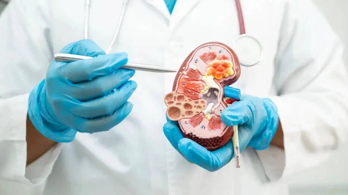 Understanding Chronic Kidney Disease: Causes, Symptoms, and Importance ...