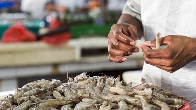 India's seafood exports hit record Rs 73,890 crore in FY26, frozen ...