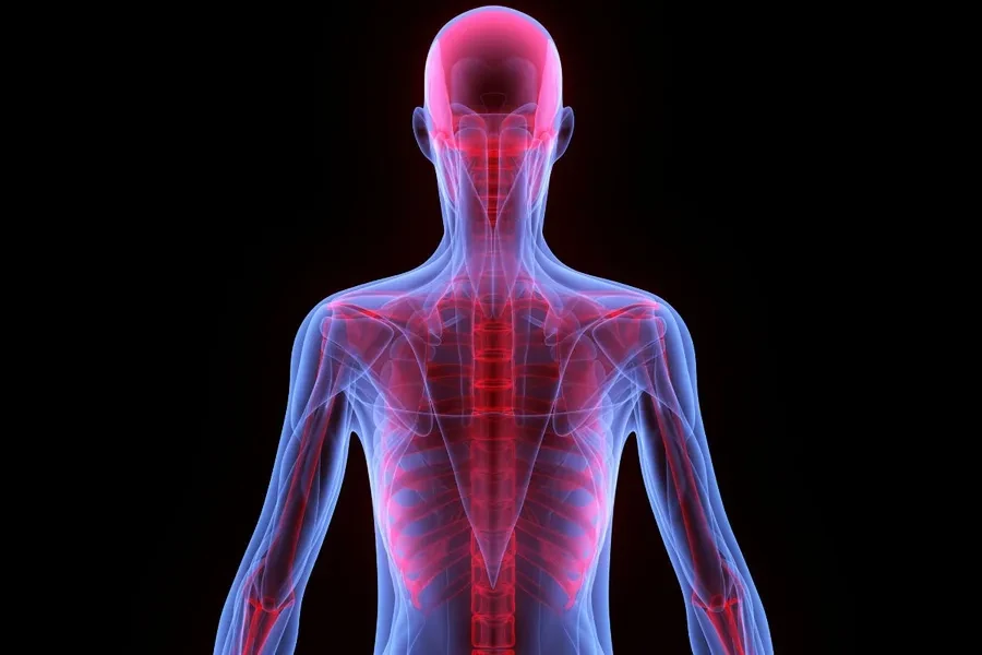 How will virtual autopsy replace traditional post-mortems in Kerala ...