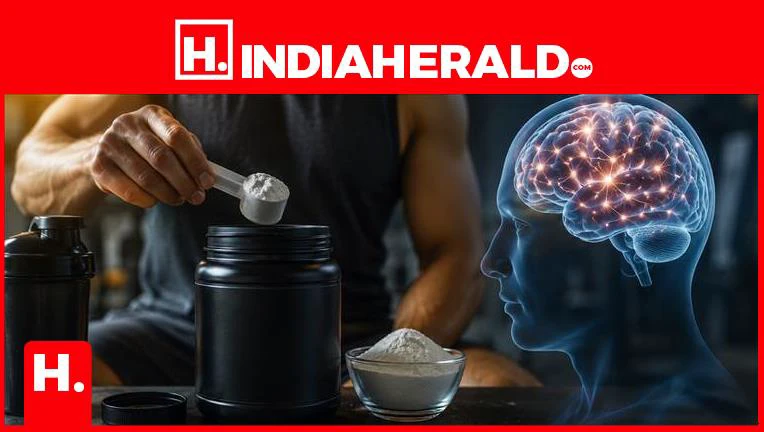 Millions Take Creatine for Muscles-Researchers Just Discovered What It ...