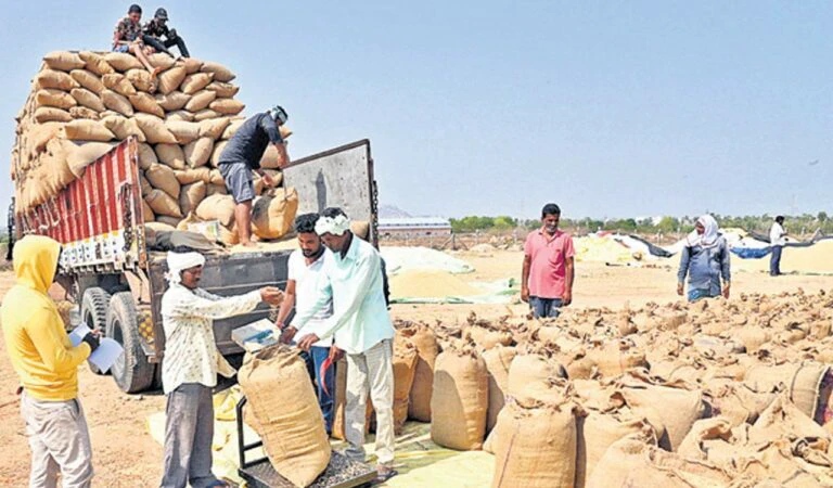 Karimnagar farmers worried over restrictions on fine variety paddy ...