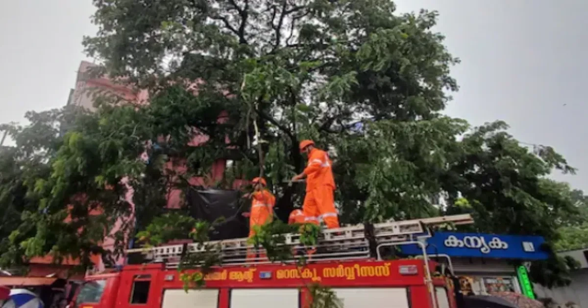Heavy Rains Lash Kerala, One Dead as Fallen Tree Destroys Shed in ...