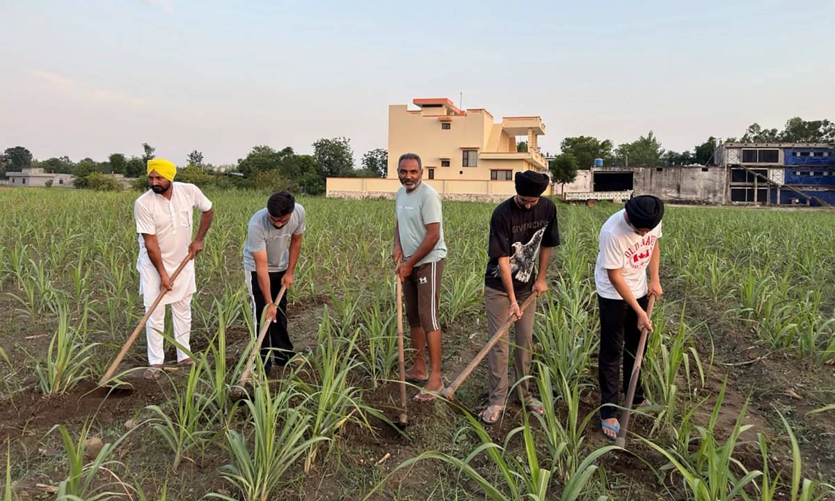 Three generations, one vision: A family's organic farming legacy ...