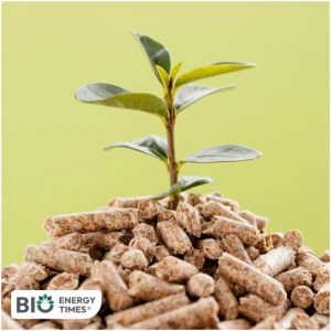 COEP students launch bioenergy startup to solve biomass fuel supply ...