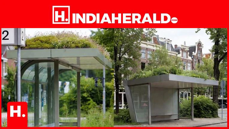 A Bus Stop That Fights Climate Change? One City Just Proved It Works ...