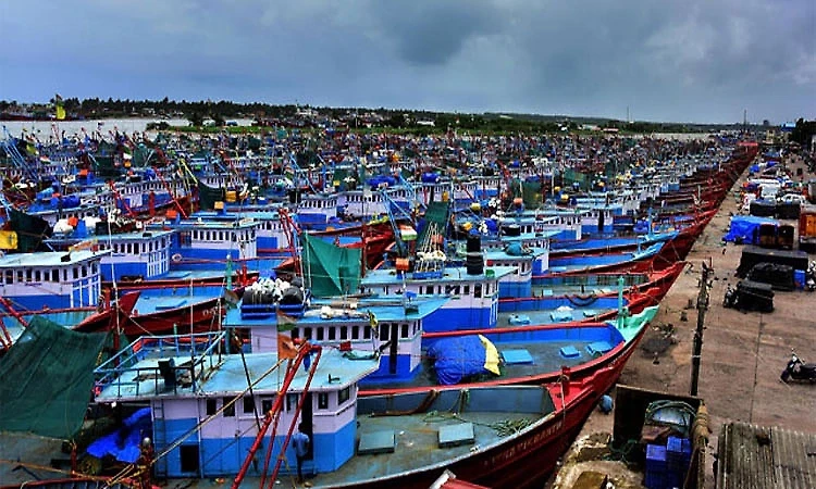 Boats anchored at Mangaluru harbour; workers return to their hometowns ...