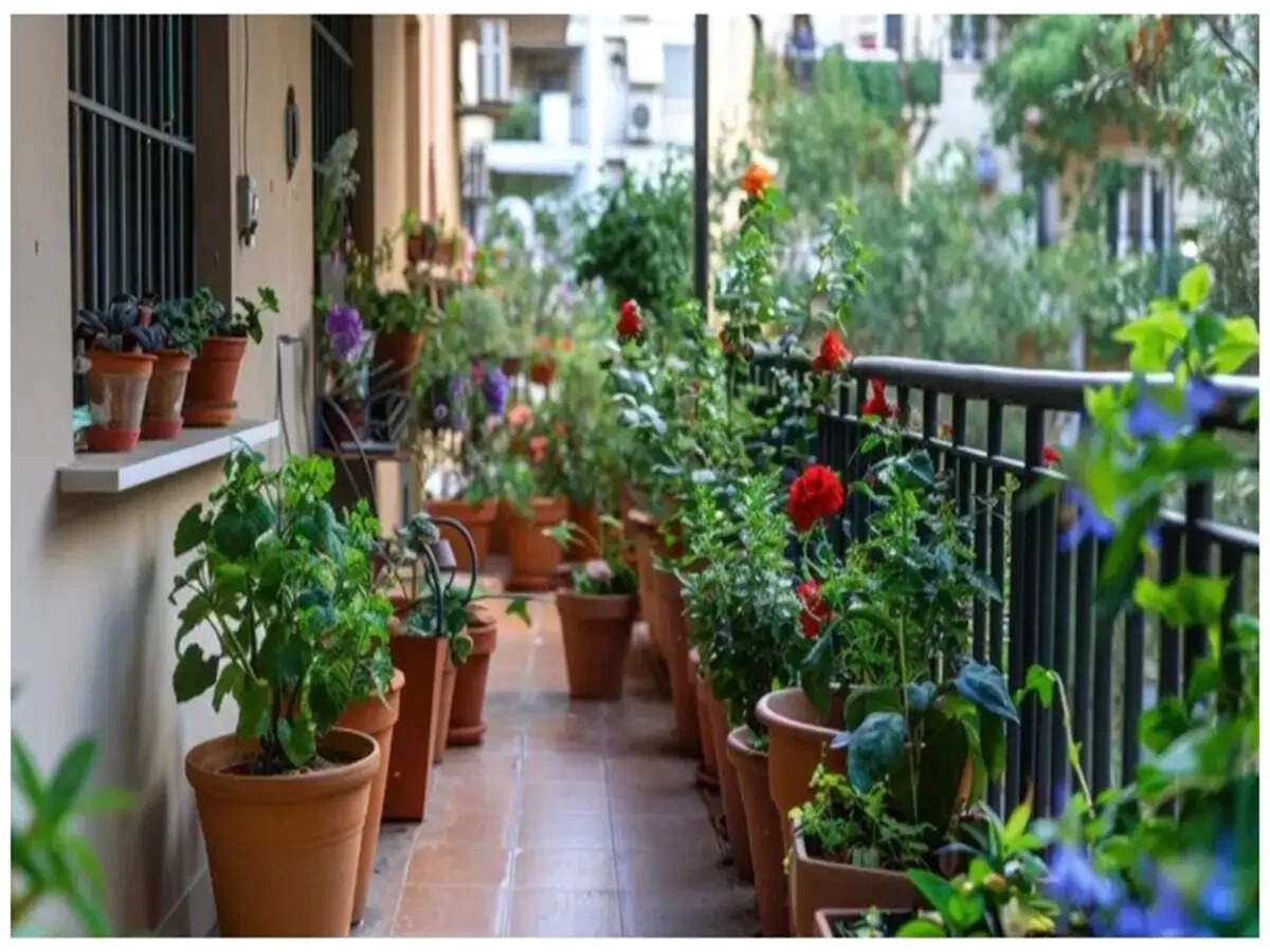 Transform Your Small Balcony into a Lush Garden Oasis | Dailyhunt