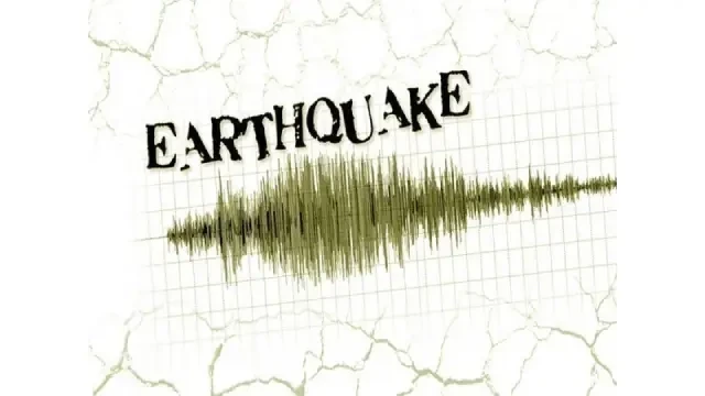 4.6-Magnitude Quake Recorded in Bay of Bengal | Dailyhunt
