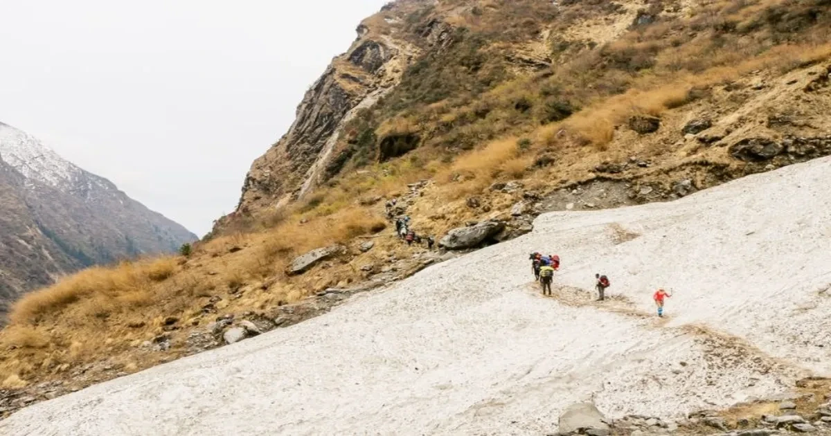 Noida Trekker Missing On Pindari Glacier Route, SDRF Begins Search ...
