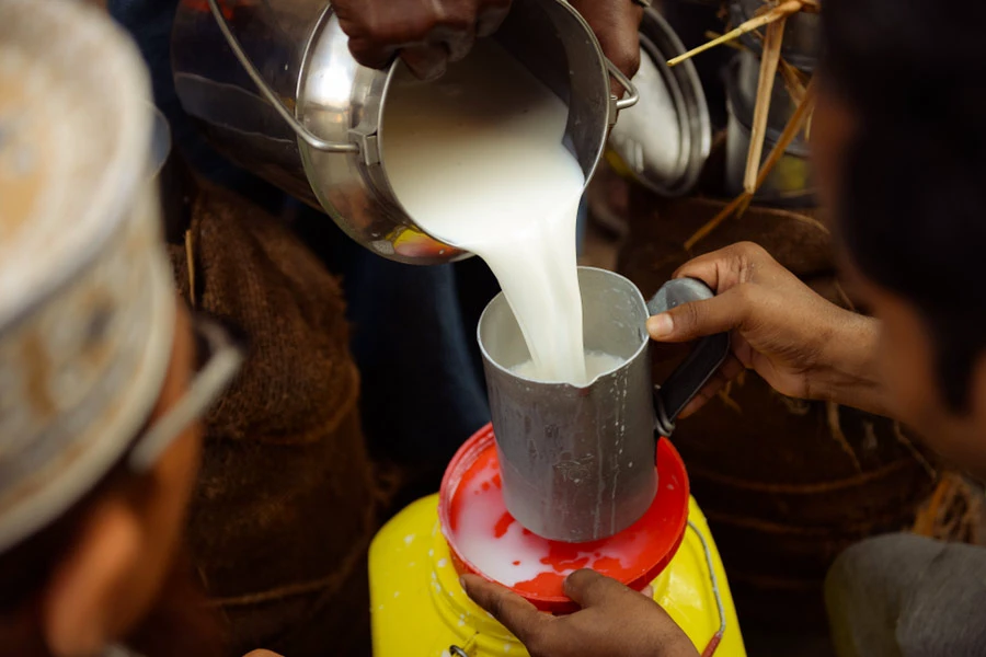 Extreme heat tests India's record milk production, threatens reduced ...