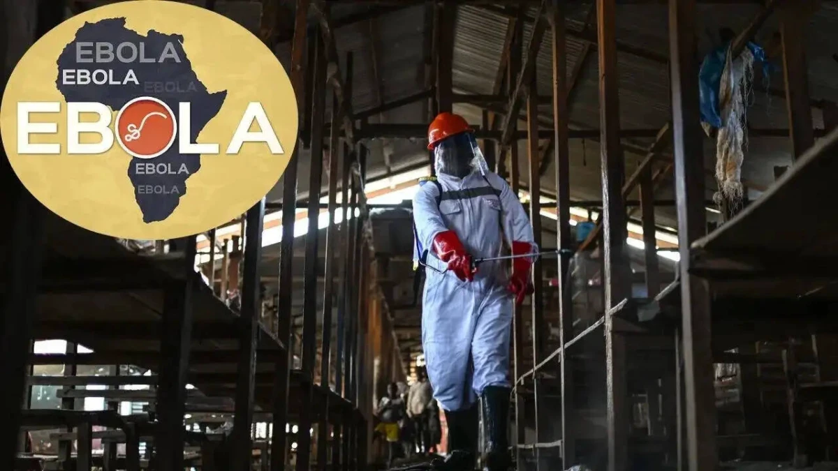 Ebola Outbreak in Congo Raises Global Concerns Despite Low Risk ...