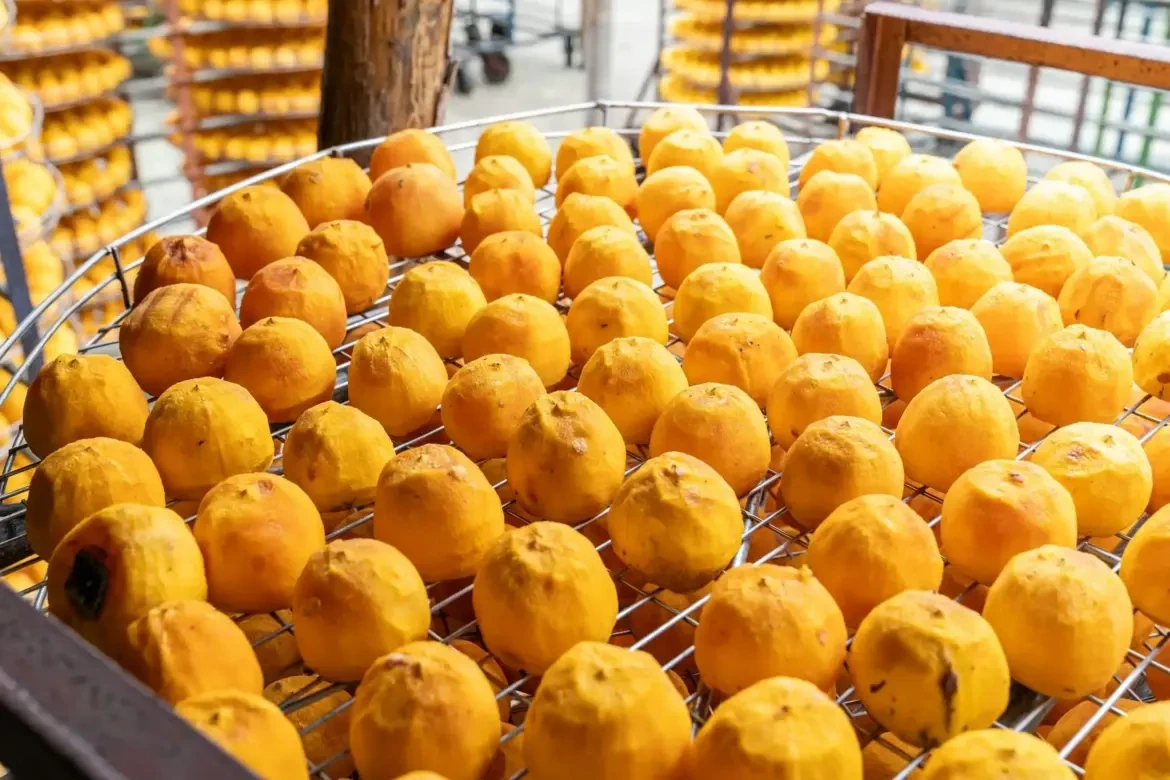 India's Food Processing Revolution is Already Here | Dailyhunt