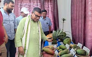Tripura: Exotic mango under trial for self-reliance | Dailyhunt