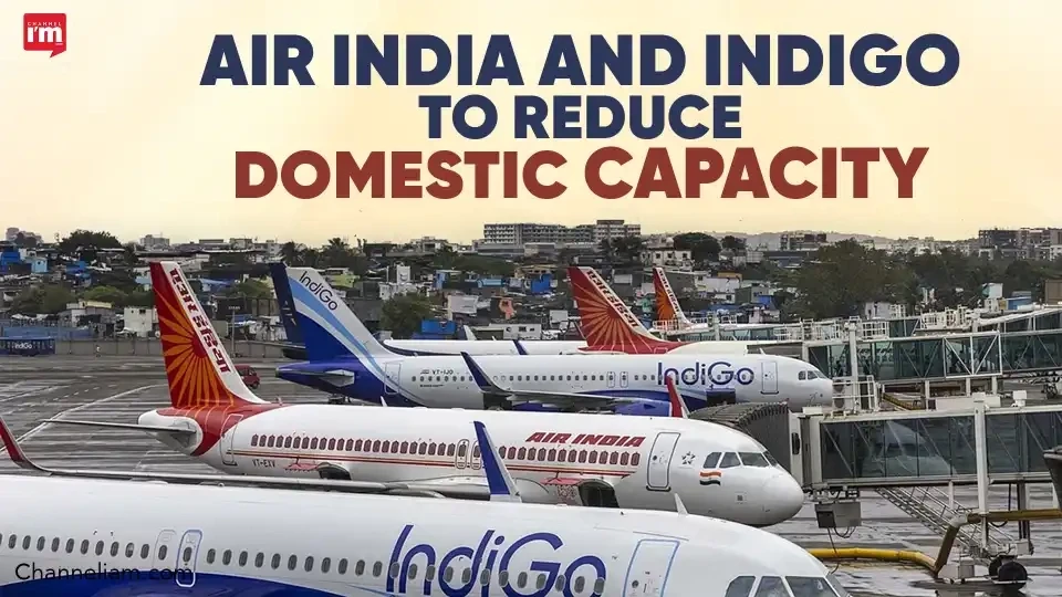 Air India, IndiGo To Cut Flights | Dailyhunt