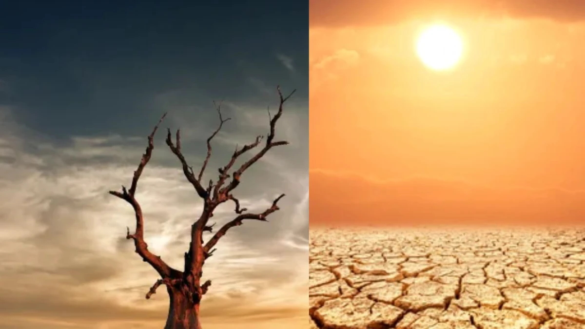 Heat Waves: High temperatures leave streets deserted; When 'Nautapa ...