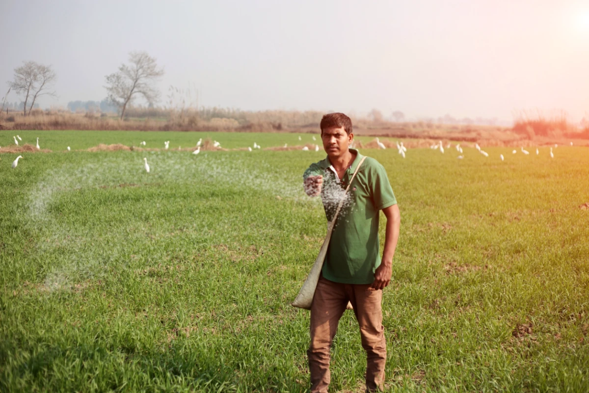 El Nino impact: Centre lowers urea demand to 190 LMT, DAP to 56 LMT for ...