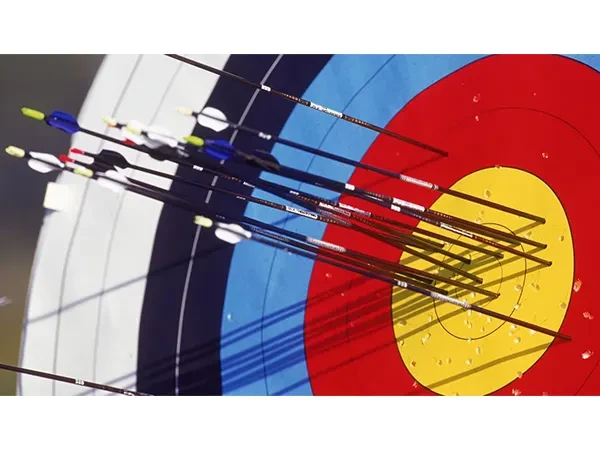 Veteran Indian Olympian archer Shyam Lal Meena dies at 61 | Dailyhunt