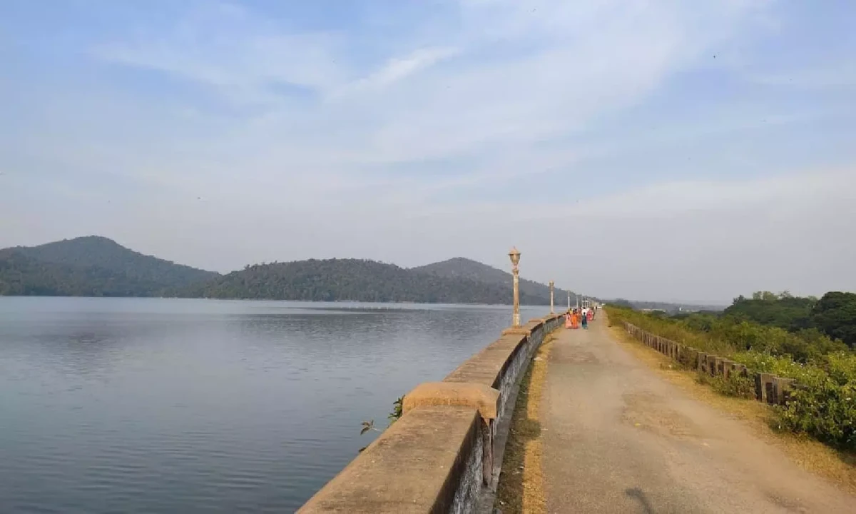El Niño threat looms: CM Revanth puts water security, farming, flood ...