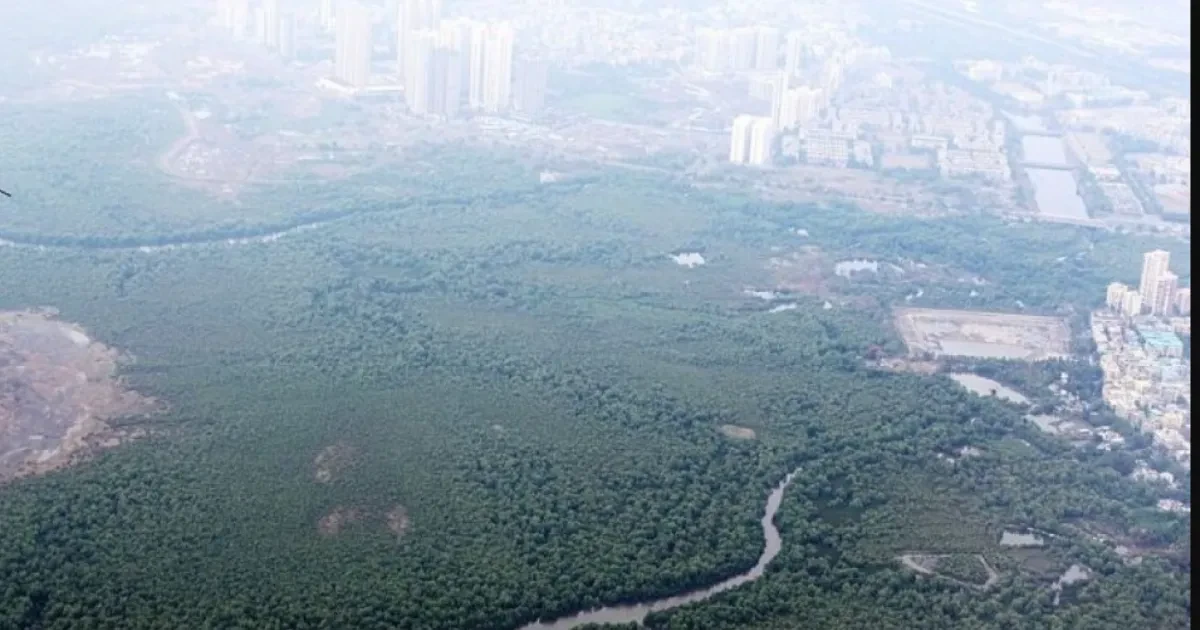 Mumbai Launches Digital Urban Forestry Dashboard Amid El Niño Heat ...