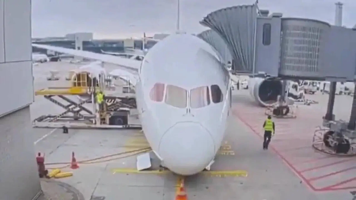 Lufthansa Flight Incident in Frankfurt Injures Crew Members | Dailyhunt