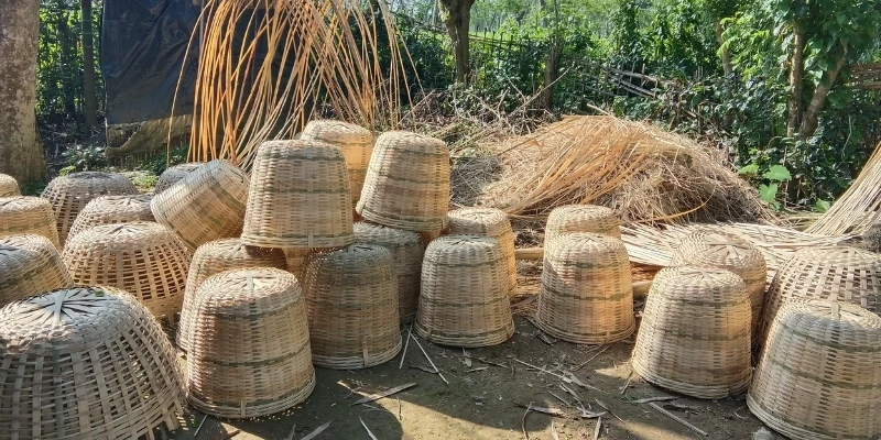 Climate change, fuel price hike deepen Assam tea workers' crisis ...