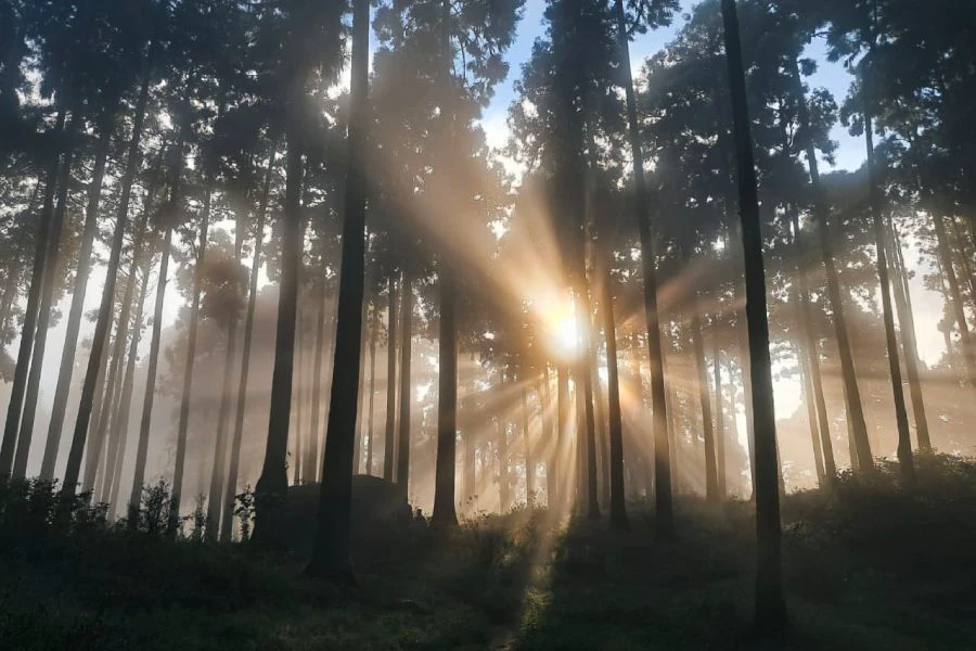 Ashes to ashes, dusk to dusk: Decoding Bengal's latest sunset travel ...