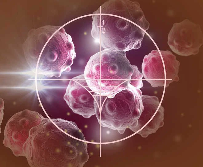 Experimental drug offers hope for pancreatic cancer patients | Dailyhunt
