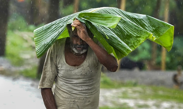 Why is water wet? | Dailyhunt