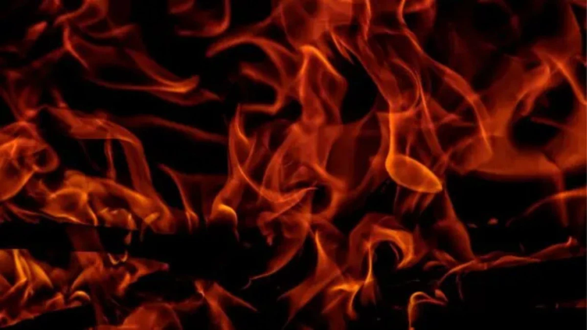 Two elderly sisters killed in house fire in Andhra | Dailyhunt
