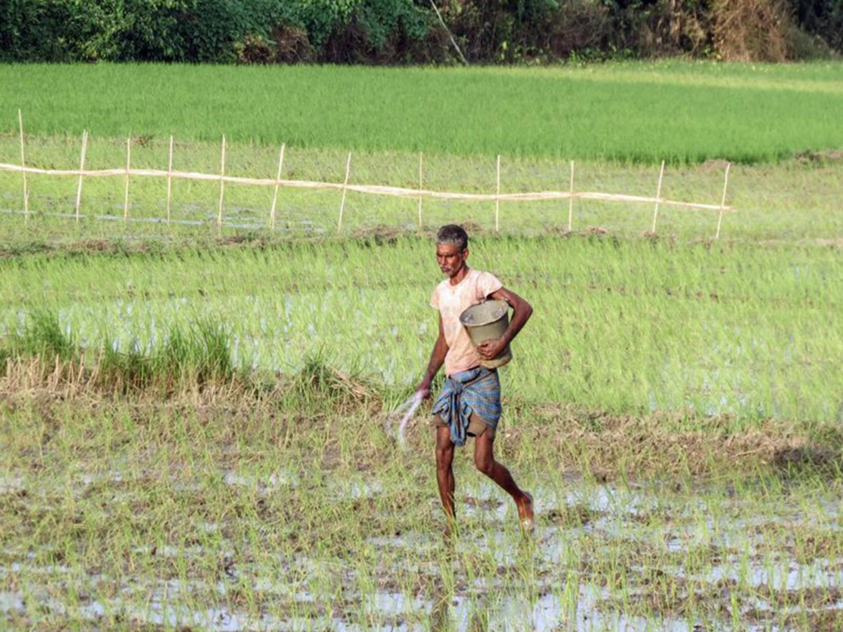 Below-normal monsoon may hit Kharif output; Fuel food inflation risks ...