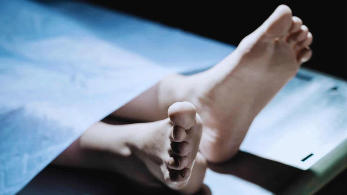 Indian expat couple found dead in Kerala before Dubai return flight ...