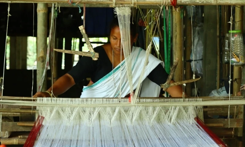 Assam: Kaziranga's community products go global, now available on ...