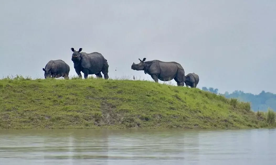 Kaziranga girds for flood season: Boats, sensors & speed caps deployed ...