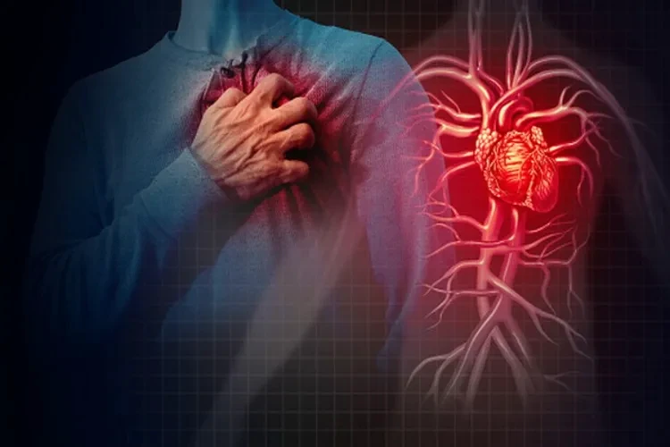 Experts Flag Cardiac Dangers Linked To Extreme Workouts, Unsupervised ...