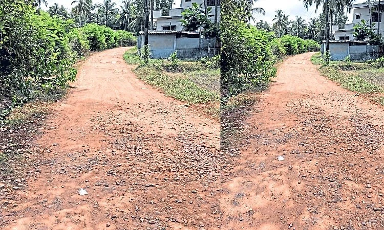 Tallur: 20 ವರ್ಷದಿಂದ ಡಾಮರೇ ಕಾಣದ 1.5 ಕಿ.ಮೀ. ರಸ್ತೆ | Dailyhunt
