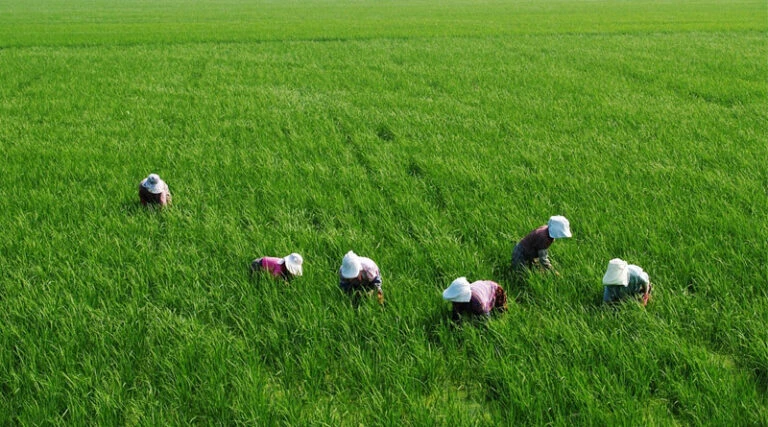 India Expands Crop Protection Network with New Pest Management Centre ...