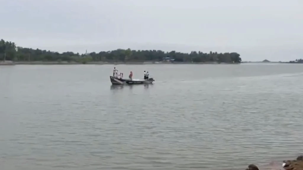 Eight dead, three missing after group collecting mussel shells swept ...