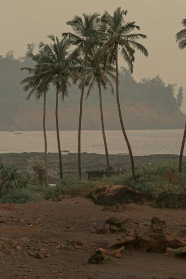 Goa in Monsoon Is a Completely Different Place And That Is Exactly Why ...