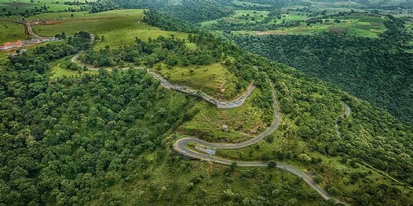 Rising temperature in Chikhaldara affects wildlife, tourism | Dailyhunt