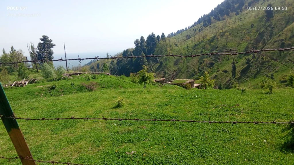 Tribal Herders in Kulgam Invoke FRA to Reclaim Land Seized After 2019 ...