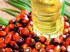 Consumer Affairs Ministry standardises edible oil pack sizes to improve ...