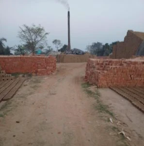 Odisha: NGT forms joint panel to probe illegal brick kiln ops | Dailyhunt
