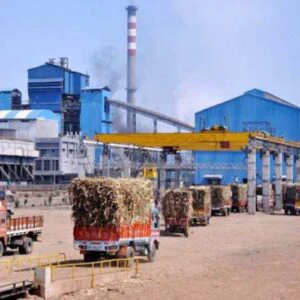 Bihar speeds up revival of closed sugar mills; new plant likely at ...