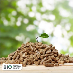 Scientists develop new biomass technology to boost electricity and ...